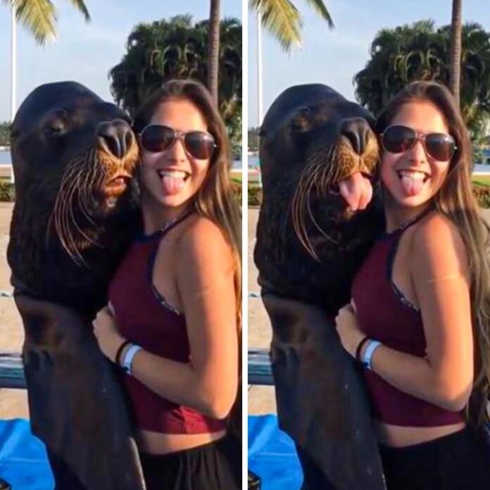 21 cuki állat, akitől elolvadsz, mint a vaj | Kuffer